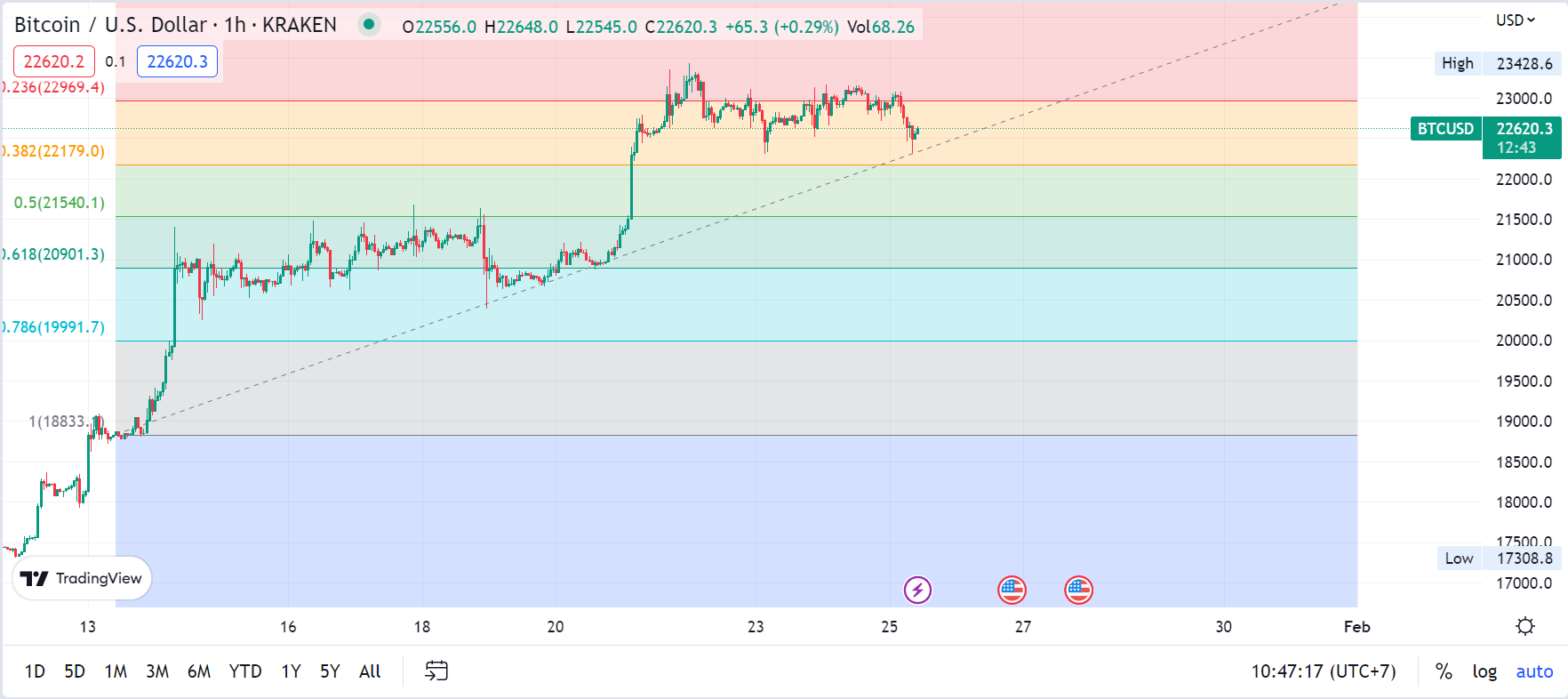 Analisis Harga BTC, ETH, BNB, ADA, dan XRP Hari Ini! | Coinvestasi